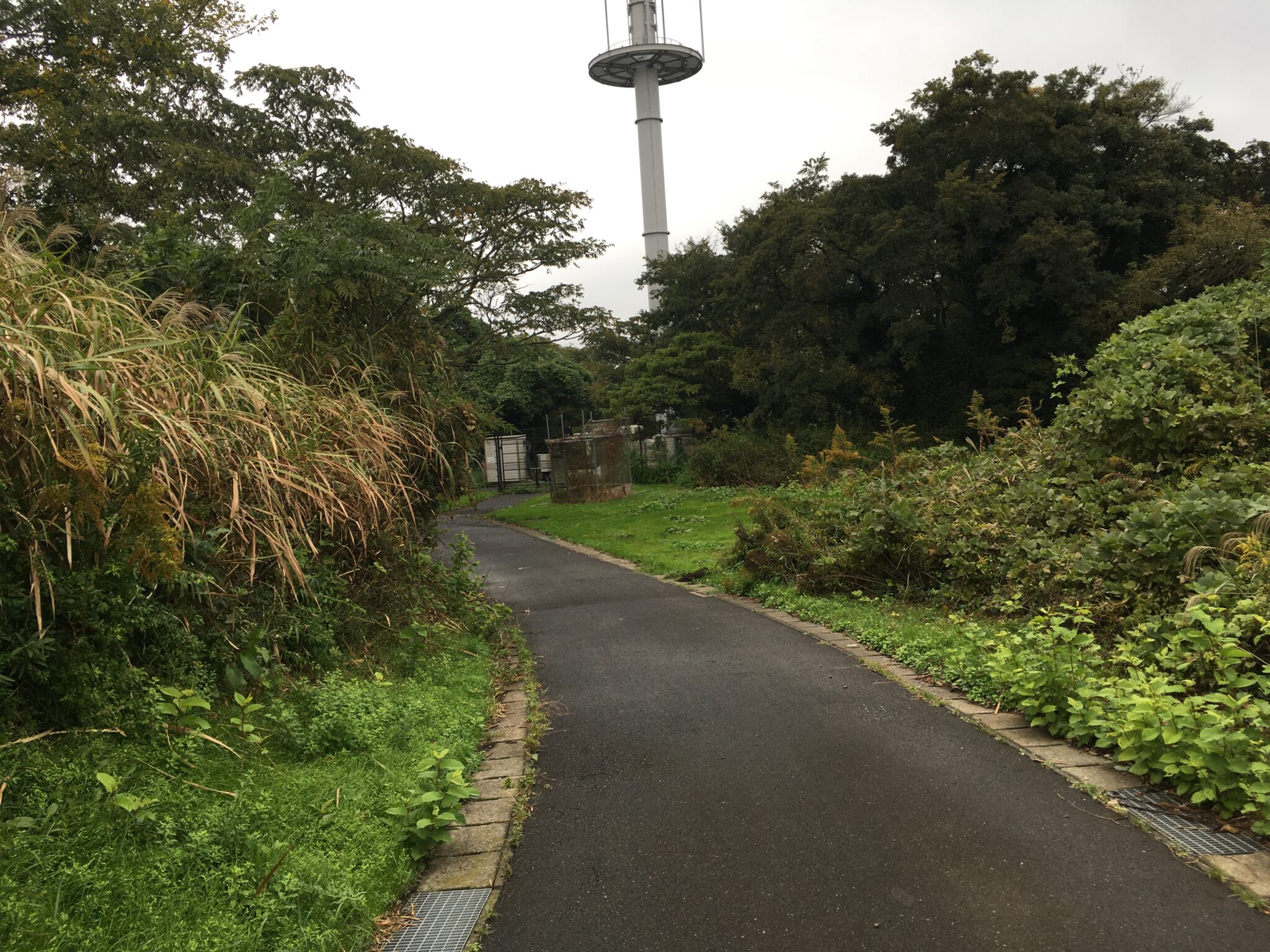 【実体験】私が脱柵してから退校するまでの40日間 | 激動の時代を生きる | CURIO WEB【キュリオウェブ】